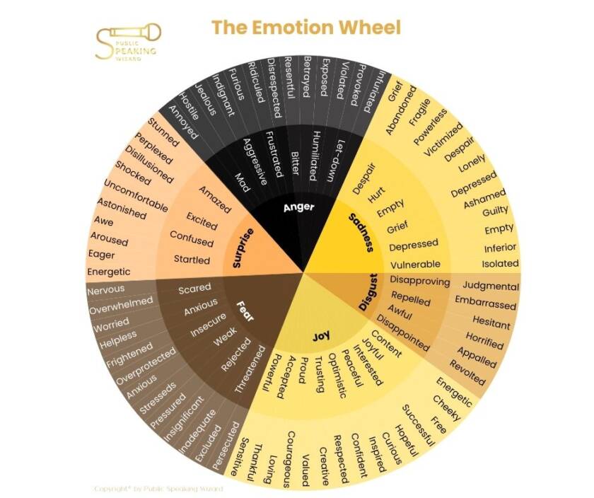The Emotion Wheel- What Emotions Can We Have? - Public Speaking Wizard